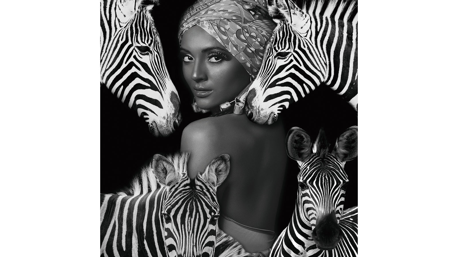 Tavla Zebra Queen, glas, 120x120 K | Möbelhuset